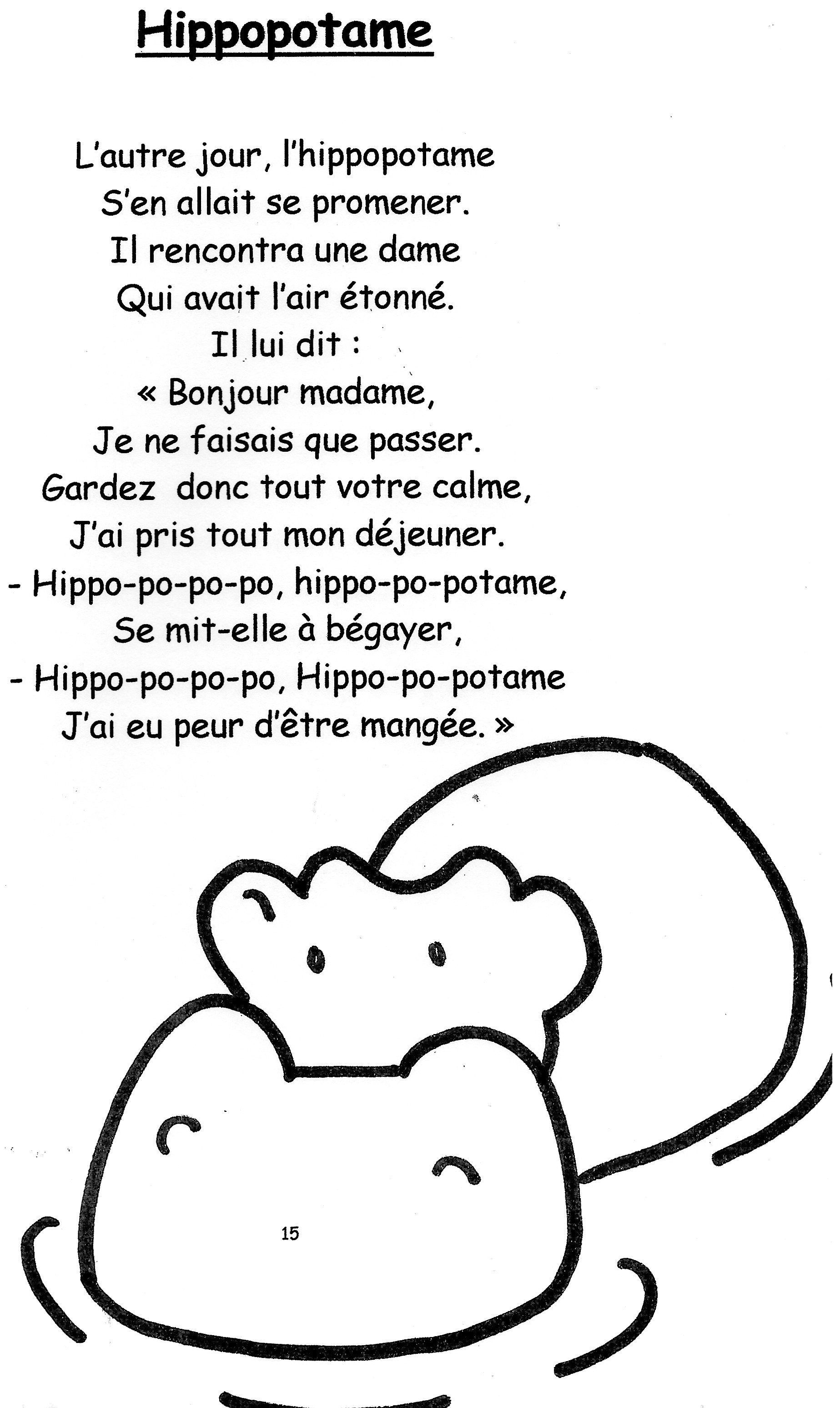 Hippopotame